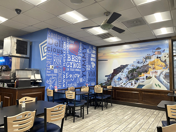 Step inside and you're instantly transported to Santorini, where vibrant blue walls and Mediterranean imagery create an atmosphere that's halfway between Maryland and the Aegean.