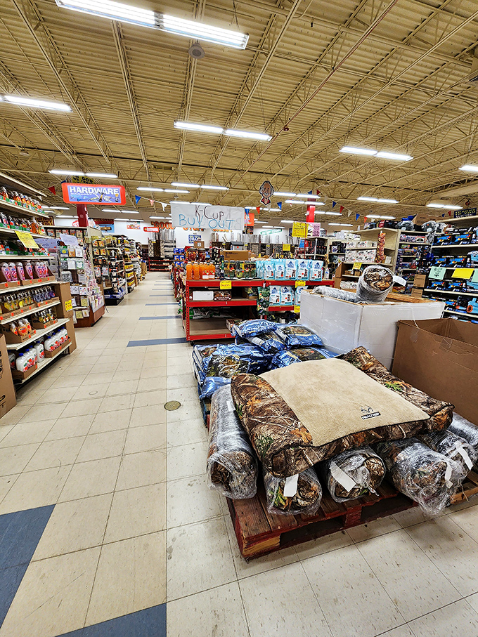 Treasure hunters navigate Ollie's labyrinthine aisles where camouflage rugs meet hardware essentials in a retail adventure that rewards the patient explorer.