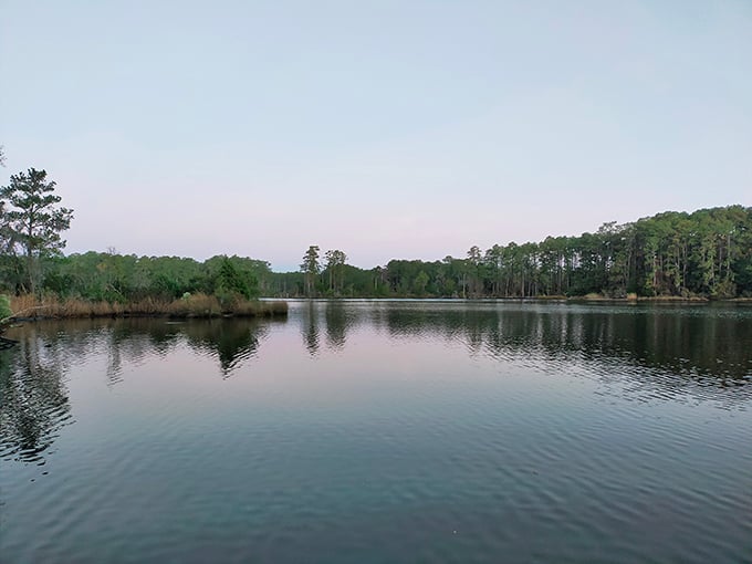 Mirror, mirror on the water &ndash; this tranquil lake scene at dusk proves North Carolina doesn't need mountains to take your breath away.