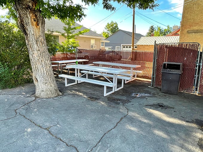 Simplicity reigns supreme at these outdoor picnic tables, where generations have gathered under shade trees to savor burgers and conversation.