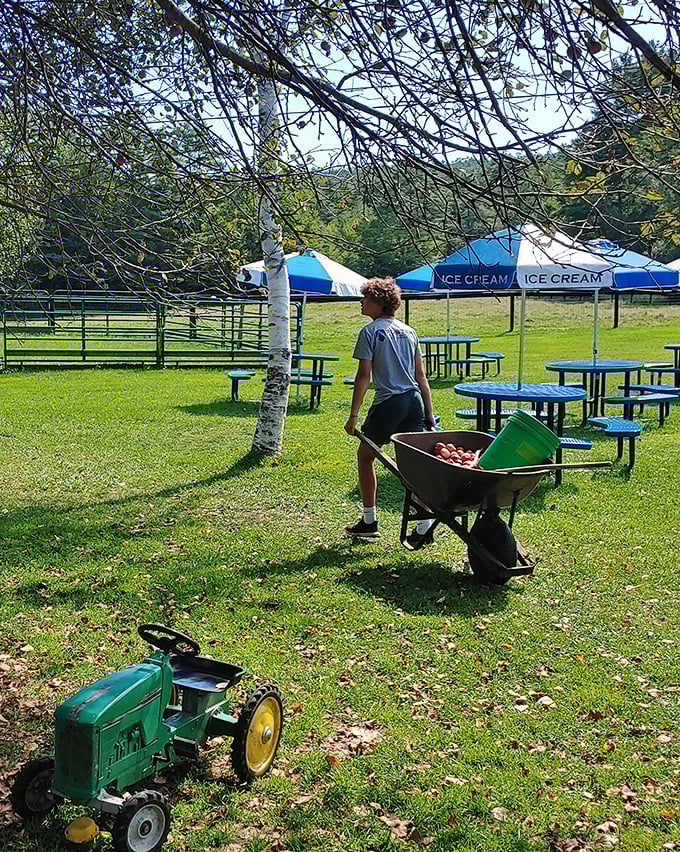 A slice of pastoral perfection where blue picnic tables await beneath shady trees. The hardest workout you'll get is carrying multiple scoops to your seat.