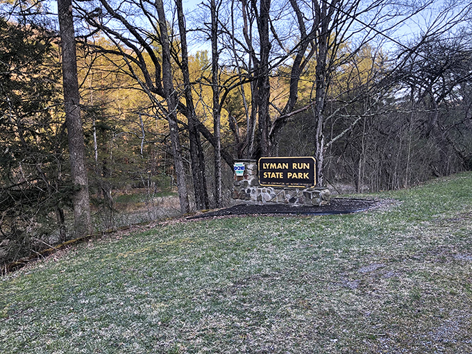 Nature's welcome sign stands sentinel at the park entrance. This unassuming marker is the first hint of the hidden treasure that awaits beyond the trees.