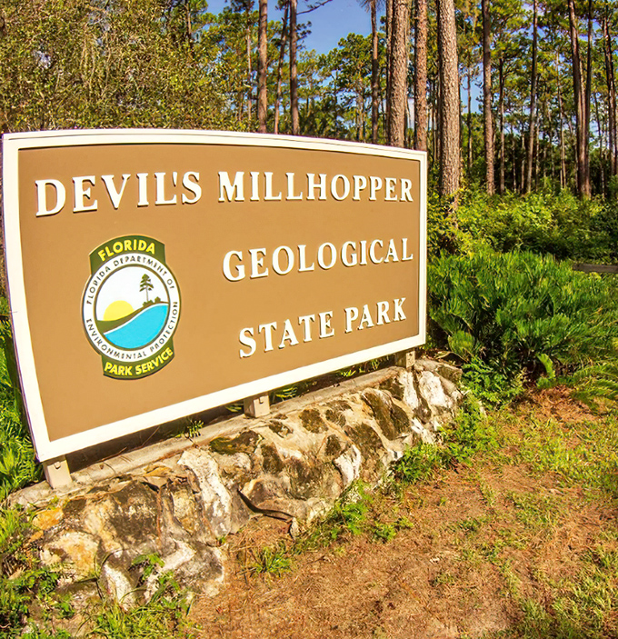 "Devil's Millhopper" sounds like a ride at Disney, but this natural wonder delivers more genuine thrills than any theme park attraction.