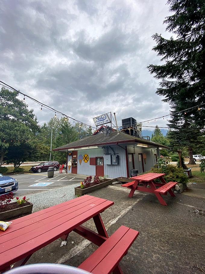 Where memories are made: Red picnic tables under mountain skies offer the perfect stage for that quintessential American roadside dining experience.