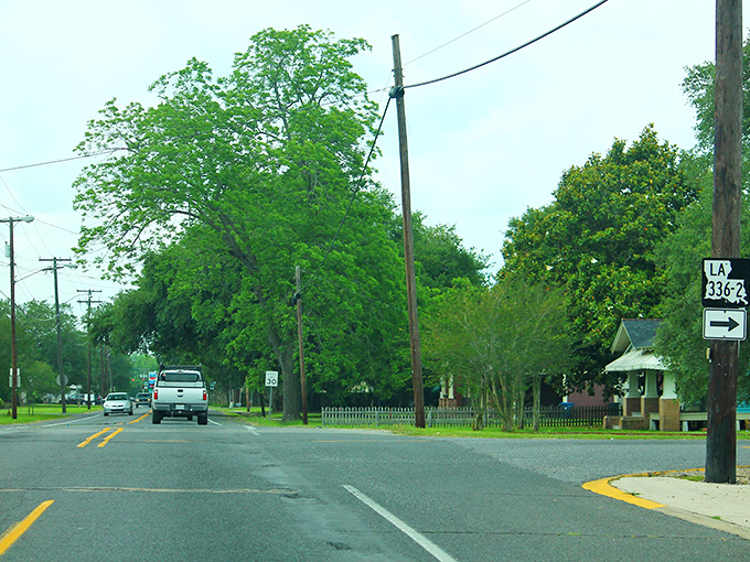 Tree-lined streets in Breaux Bridge create nature's perfect canopy, where even a simple drive feels like a parade.