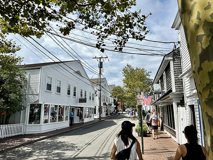 Edgartown's cobblestone streets and pristine captain's homes stand as monuments to whaling wealth and impeccable New England taste.
