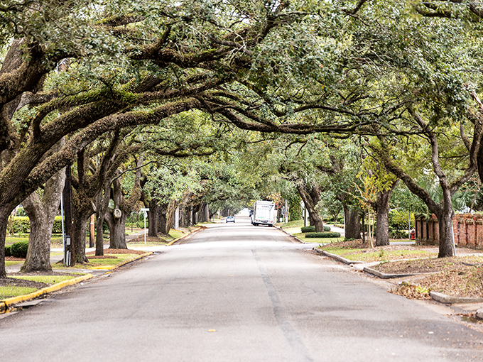 Georgetown's oak-canopied streets feel like nature's cathedral. Walking here is like stepping into a living postcard of the South.