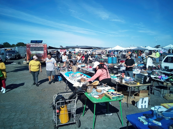 Sunshine, tables, and treasures as far as the eye can see. At Kobey's, one person's castoffs become another's prized possessions.
