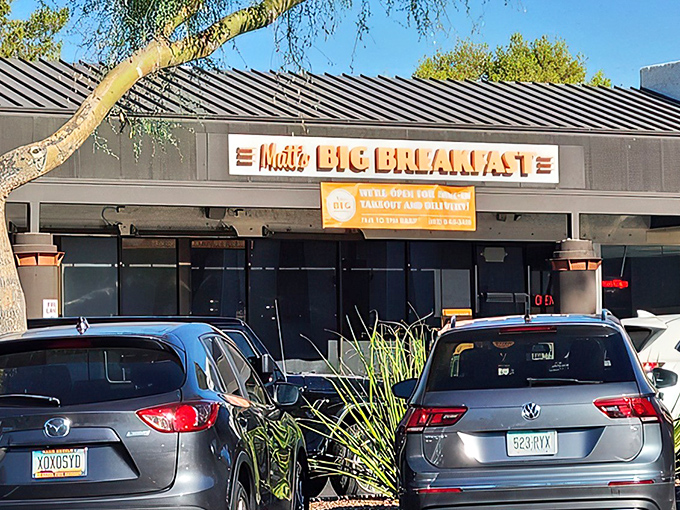 Matt's Big Breakfast: Where the name isn't just clever marketing – your breakfast actually requires backup.