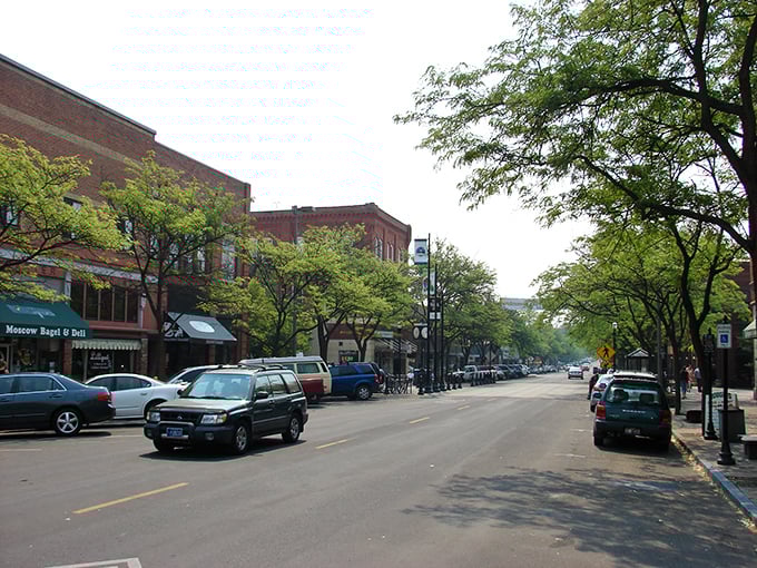 Moscow's tree-lined downtown invites you to stroll past brick buildings that have witnessed generations of Idaho stories unfold.