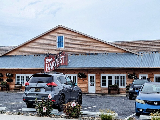 Our Harvest's rustic wooden charm feels like a warm hug before you even taste their farm-to-fork steaks that redefine "local flavor."