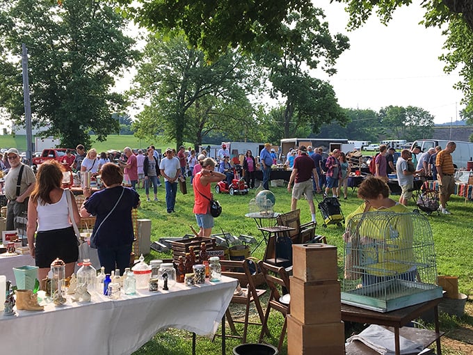 Treasure hunters gather under summer trees, where yesterday's castoffs become today's must-haves. The thrill of the hunt is contagious!