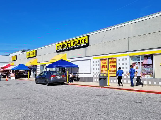 Rain or shine, Washington Boulevard Marketplace stands ready for treasure hunters—no Indiana Jones hat required!