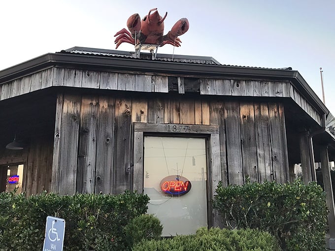 That weathered wood exterior at Big Al's has witnessed more delicious seafood moments than a fishing documentary marathon.