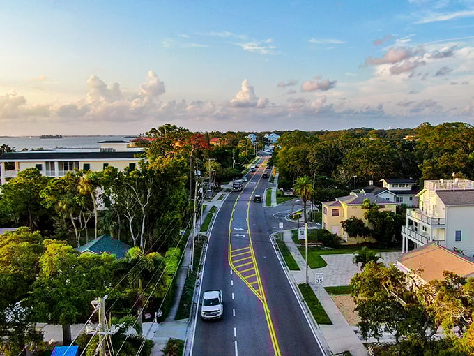 Palm trees and traffic lights: Dunedin's main street offers small-town charm with enough shops to fill an afternoon of browsing.
