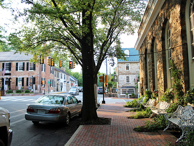 In Middleburg, even the trees seem to lean in for friendly conversation along streets where time moves at a more civilized pace.