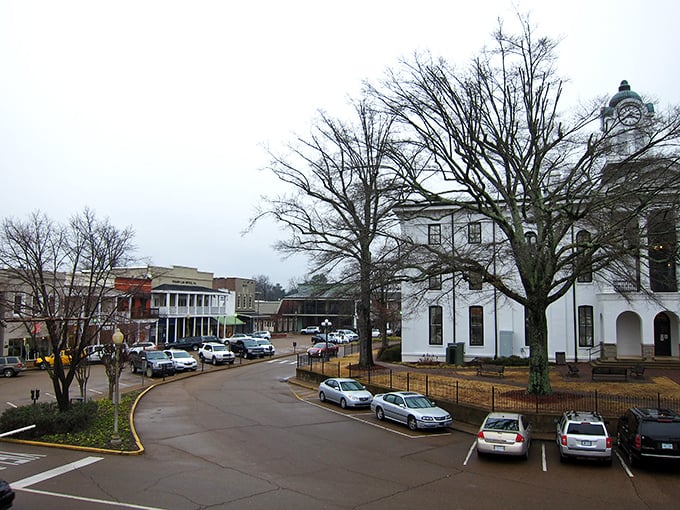 Those oak trees frame Oxford's streets like nature's cathedral ceiling, creating the perfect canopy for literary daydreams.