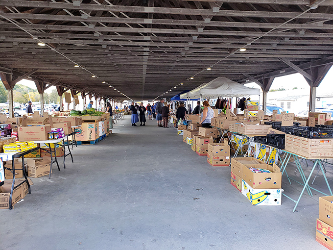 Under the big Ohio sky, Rogers' covered pavilions offer shade and shelter for endless rows of potential treasures.