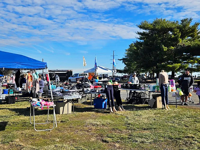 Under clear blue Virginia skies, shoppers browse tables where yesterday's memorabilia becomes tomorrow's conversation pieces.
