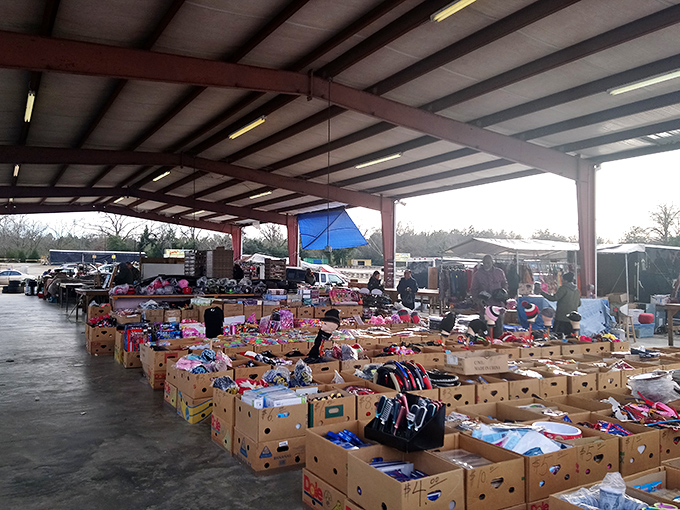 Cardboard kingdoms await exploration! Each box at Smiley's holds potential treasures that might just follow you home.