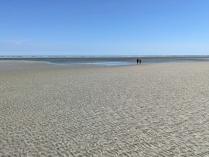 Social distancing, nature's way. When the beach is measured in miles rather than feet, two distant figures become part of the landscape rather than crowding it.
