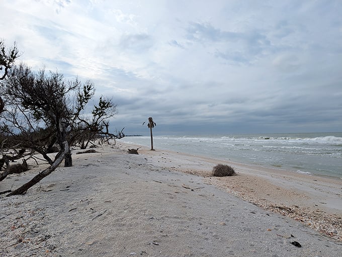 Social distancing, Florida-style. Miles of untouched shoreline where your only neighbors might be a curious sandpiper or the occasional driftwood sculpture.