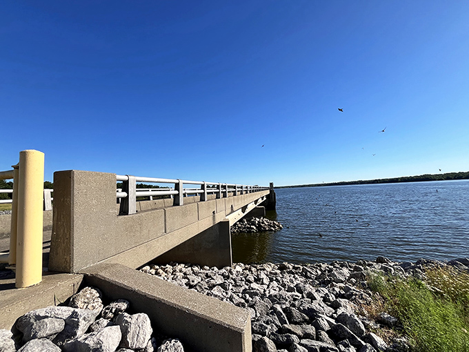This isn't just a bridge&mdash;it's a front-row seat to nature's daily performance. Birds soar overhead while fish dart below in their underwater ballet.