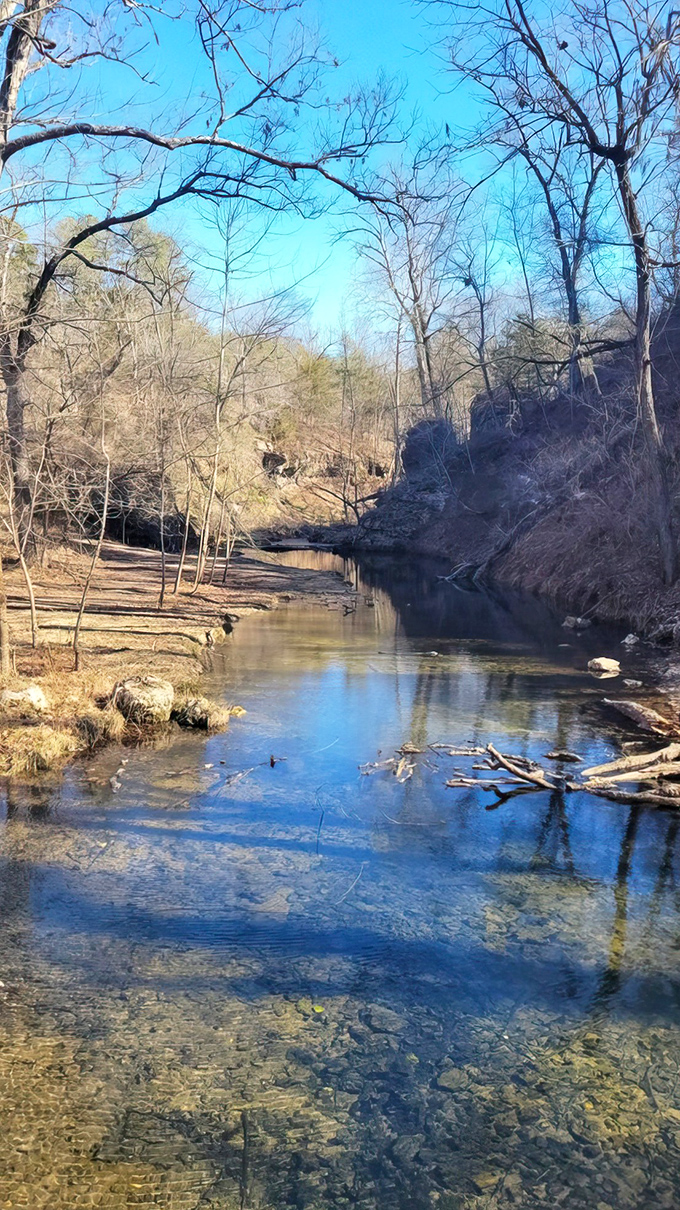 Winter reveals the bones of Natural Falls' landscape &ndash; crystal clear waters reflect the bare trees like nature's own mirror selfie.