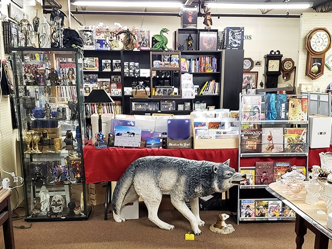 That life-sized wolf isn't just a conversation starter &ndash; it's the entire conversation, standing guard over vintage books and collectibles like a furry museum sentinel.