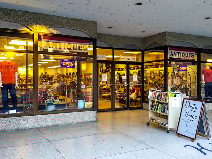 "Dusty Things" isn't just a name&mdash;it's a promise of adventure where forgotten treasures wait for their second act.