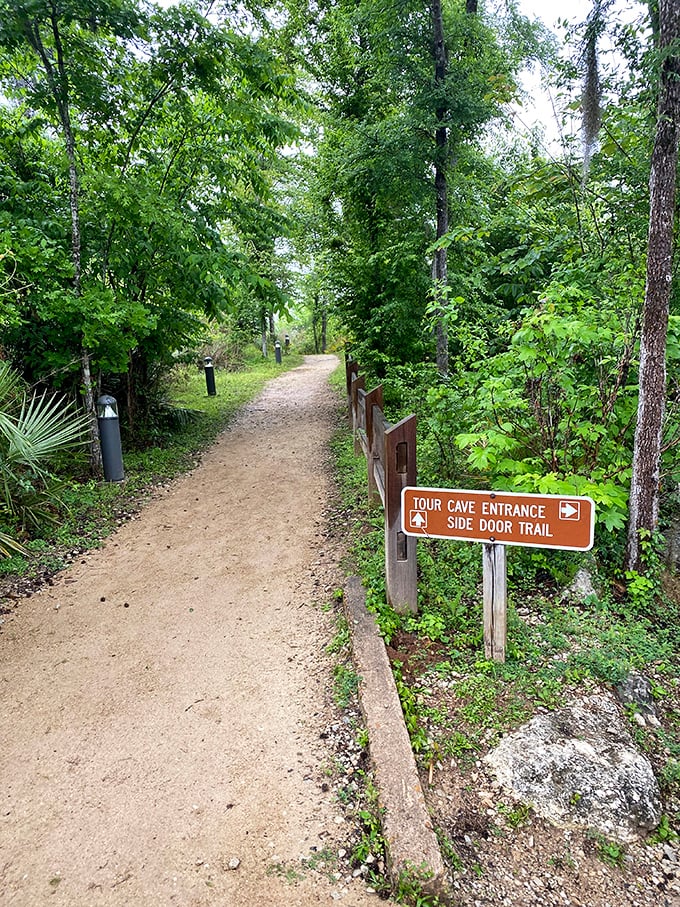The path less traveled leads to Florida's most surprising attraction. This humble trail doesn't hint at the geological wonders waiting just steps away.
