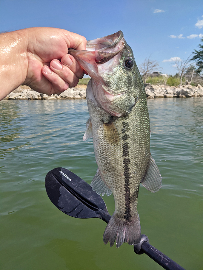"I caught dinner!" moments at Wilson Reservoir. The bass are so plentiful here, even your fishing-challenged brother-in-law stands a chance.