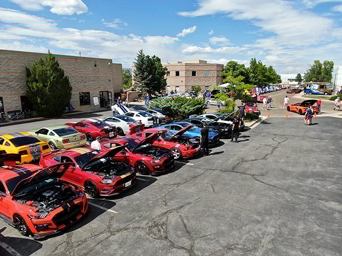 Car heaven looks a lot like this &ndash; rows of gleaming Mustangs and Shelbys lined up like thoroughbreds at the Kentucky Derby starting gate.