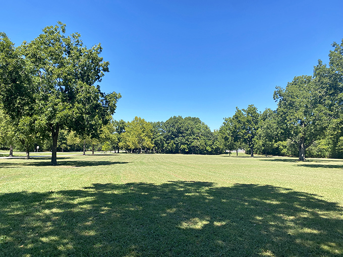 Haikey Creek Park's expansive green spaces offer room to breathe. The perfect spot for morning walks, picnics, or simply watching the grandkids burn off that sugar you secretly gave them.