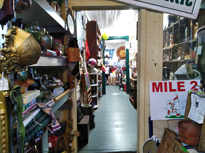 They say it's about the journey, not the destination. At C.J.'s, even the hallways are adventures waiting to happen.