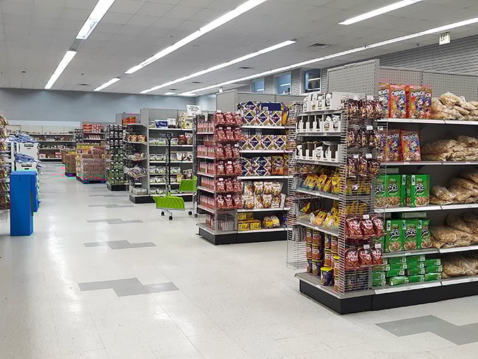 Aisles that stretch to retail infinity, stocked with treasures waiting to be discovered. The fluorescent lights illuminate a bargain hunter's paradise.