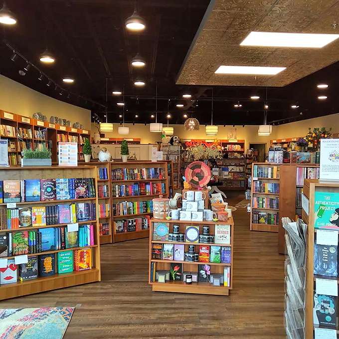 Pendant lights cast a gentle glow over wooden shelves, creating that perfect "lost in a bookstore" ambiance where time seems to stand wonderfully still.