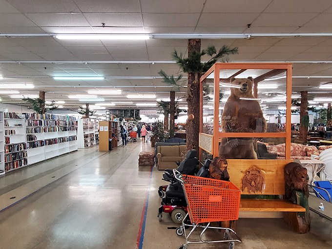 A forest of pine columns creates natural divisions between departments, with books to the left and furniture ahead. It's organized chaos in the best possible way.