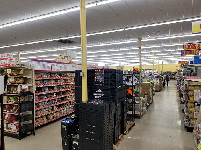 Aisles that stretch like retail infinity, where organization meets serendipity and shopping lists go to be completely ignored.