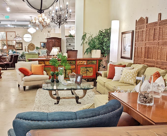 Elegant vignettes transport you to living rooms you wish were yours. That glass coffee table has probably hosted more interesting conversations than most talk shows.