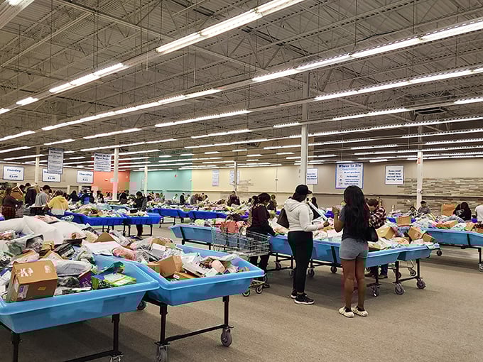 Treasure hunters paradise! Rows of blue bins stretching to the horizon like an ocean of possibilities, each one waiting to reveal its secrets.