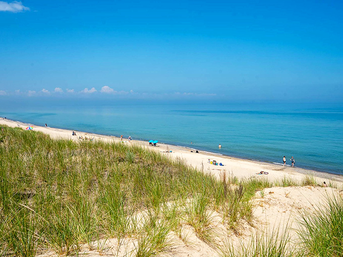 A view that rivals any coastal paradise. The dune grasses frame Lake Michigan's turquoise waters, creating a postcard-perfect scene that defies Midwestern expectations.