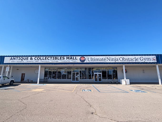 The Antique & Collectibles Mall shares real estate with a ninja obstacle gym&mdash;because hunting for vintage treasures is an extreme sport.