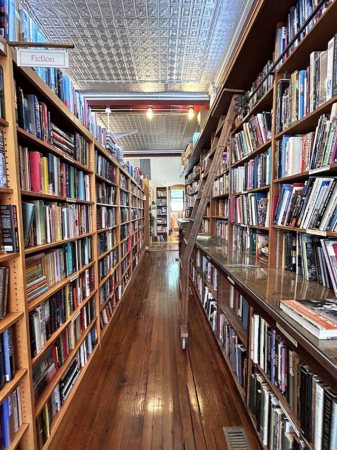 Fiction finds its home between ornate tin ceilings and polished hardwood. That rolling ladder isn't just practical&mdash;it's an invitation to adventure.