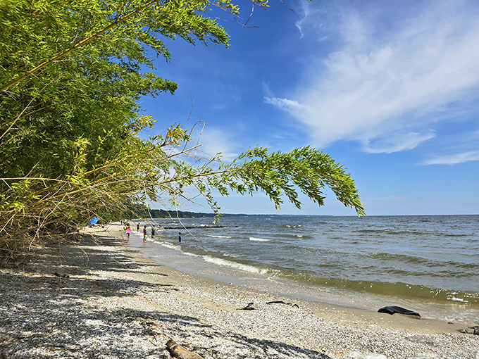 Nature's VIP section&mdash;where trees bow gracefully toward the water and visitors are treated to front-row seats to tranquility.