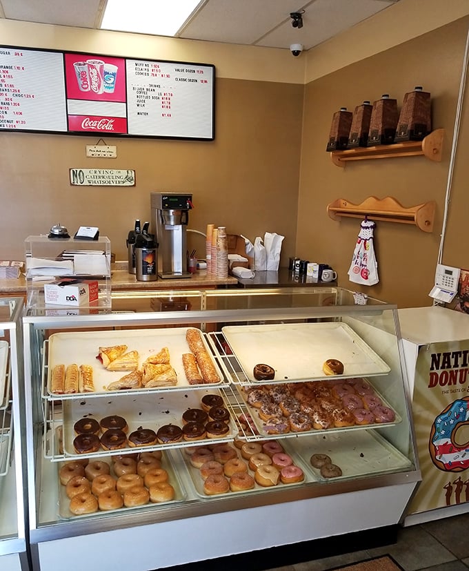 Behold the treasure chest of fried dough dreams. Each tray holds a different path to happiness, with those legendary apple fritters commanding center stage.