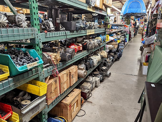 This aisle isn't just selling motors; it's selling possibilities. Each shelf contains someone's next great project or emergency repair solution.