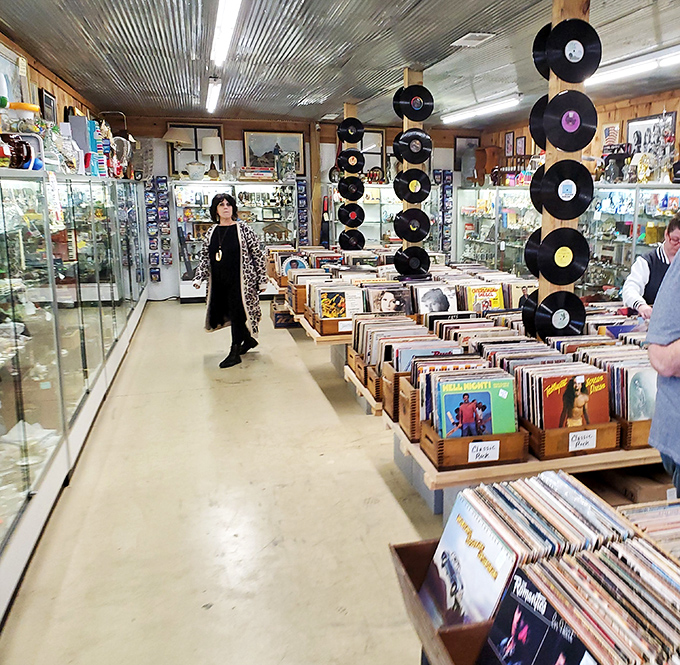 Vinyl heaven awaits music lovers with rows of forgotten hits and overlooked gems. Each record sleeve tells a story that Spotify can never replicate.