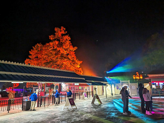 The park after dark transforms into a magical playground of lights and shadows, where even waiting in line becomes part of the memory-making experience.
