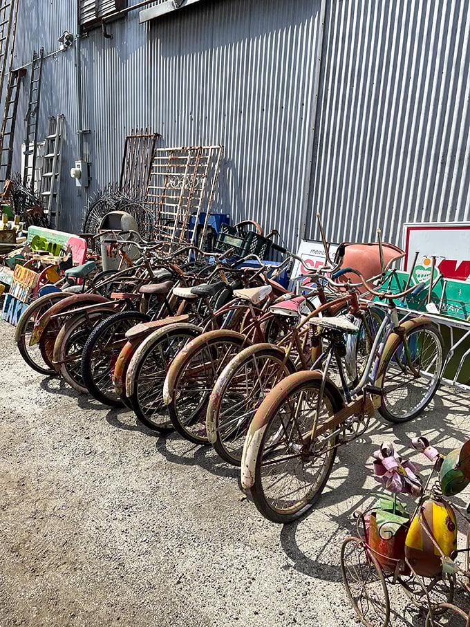 A rusty battalion of vintage bicycles stands at attention, their faded paint and worn leather seats whispering tales of neighborhood paper routes and summer adventures.